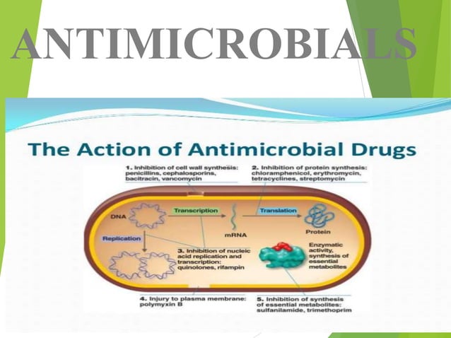 antimicrobial | PPT