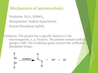 antimicrobial | PPTX