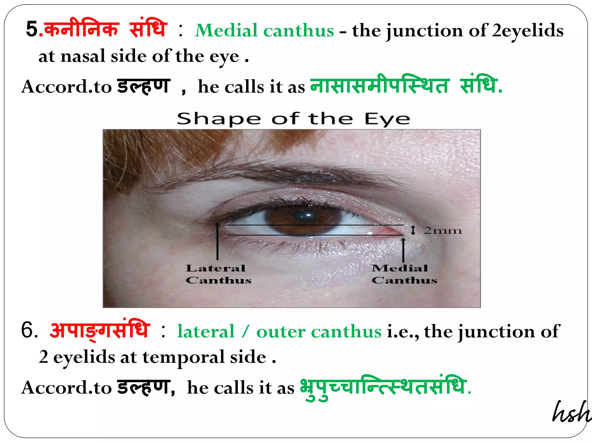 Human eye anatomy in ayurveda - netra bhagas | PDF