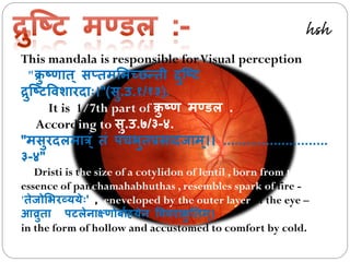 Human eye anatomy in ayurveda - netra bhagas | PDF