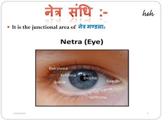 Human eye anatomy in ayurveda - netra bhagas | PDF