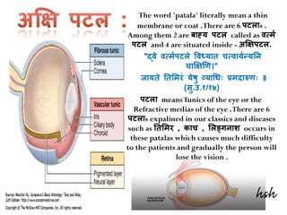 Human eye anatomy in ayurveda - netra bhagas | PDF