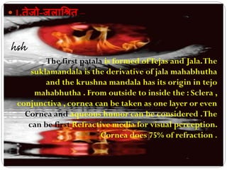 Human eye anatomy in ayurveda - netra bhagas | PDF