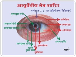 Human eye anatomy in ayurveda - netra bhagas | PDF