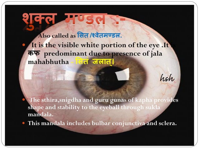 Human eye anatomy in ayurveda - netra bhagas | PDF | Eye and Vision ...