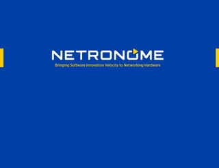 Netronome Corporate Brochure | PDF