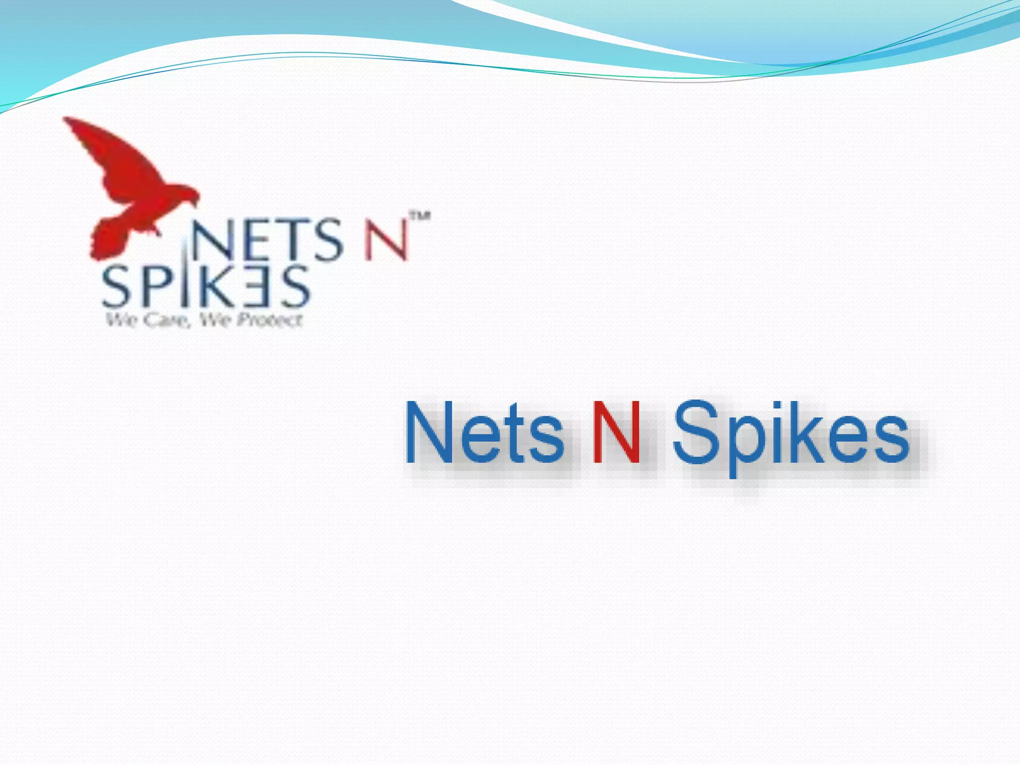 Building Bird Netting Solutions in India | Pigeon Netting Installation ...