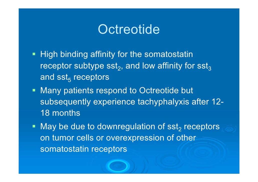 Nets 2008 Carlos F Pinto