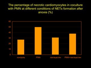 NETs and cardiomyocytes | PPT