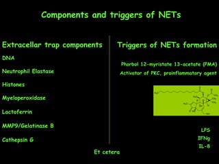 NETs and cardiomyocytes | PPT