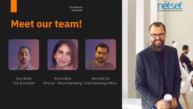 Best Software solution mohali | Netset Software | PPT