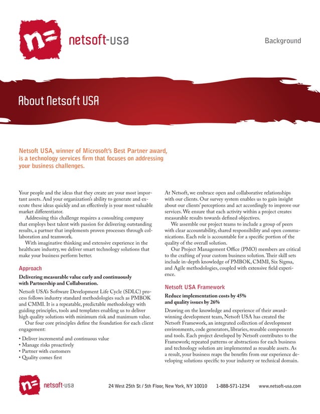 Netsoft Usa About Us 040109 | PDF