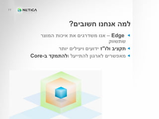 Netica UX design | PPT