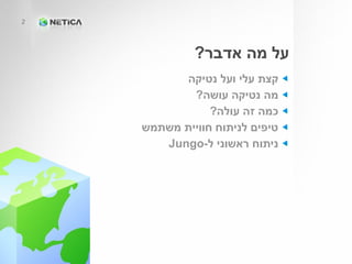 Netica UX design | PPT