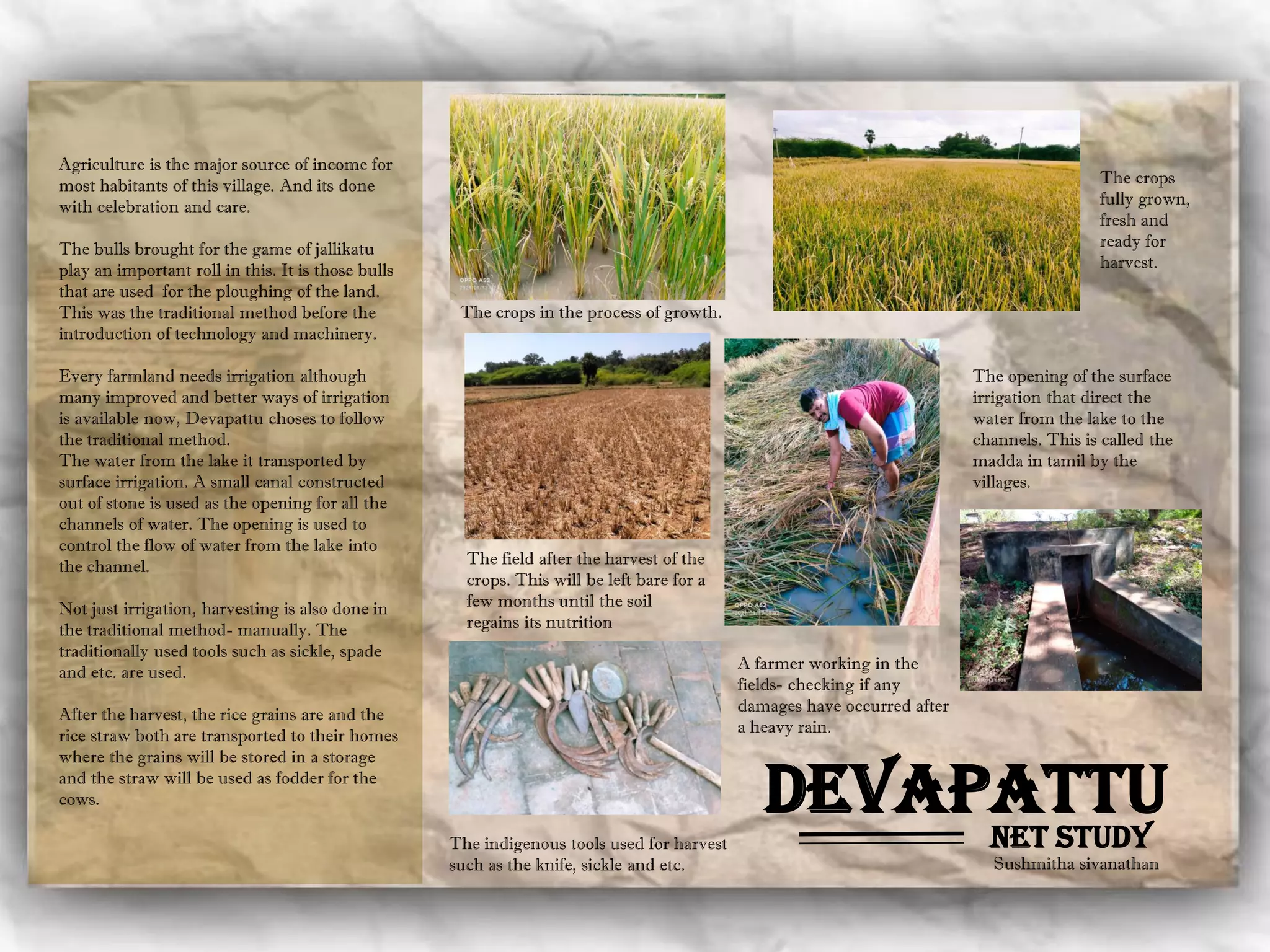 Net/case study | PPT