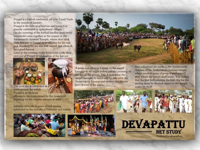 Net/case study | PPT