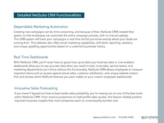 NetSuite CRM Software Details | PDF