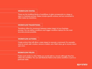 NetSuite Workflows Beginner's Guide | PDF