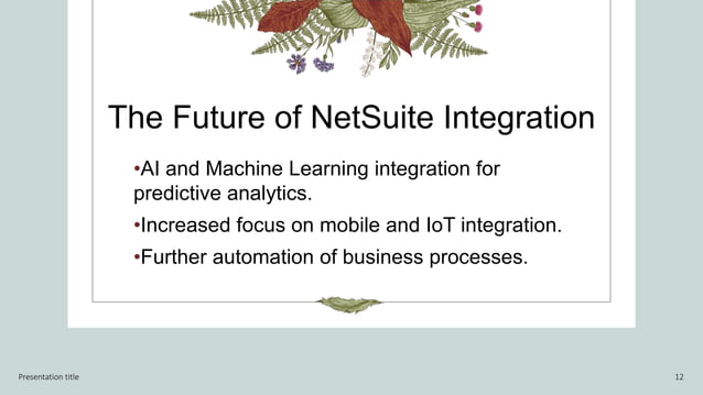 NetSuite API and EDI integration | PPT