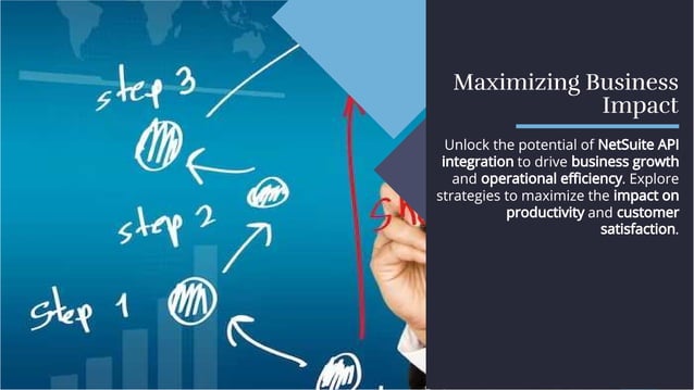 A Complete Guide to NetSuite API Integration in 2023 | PDF | Web ...