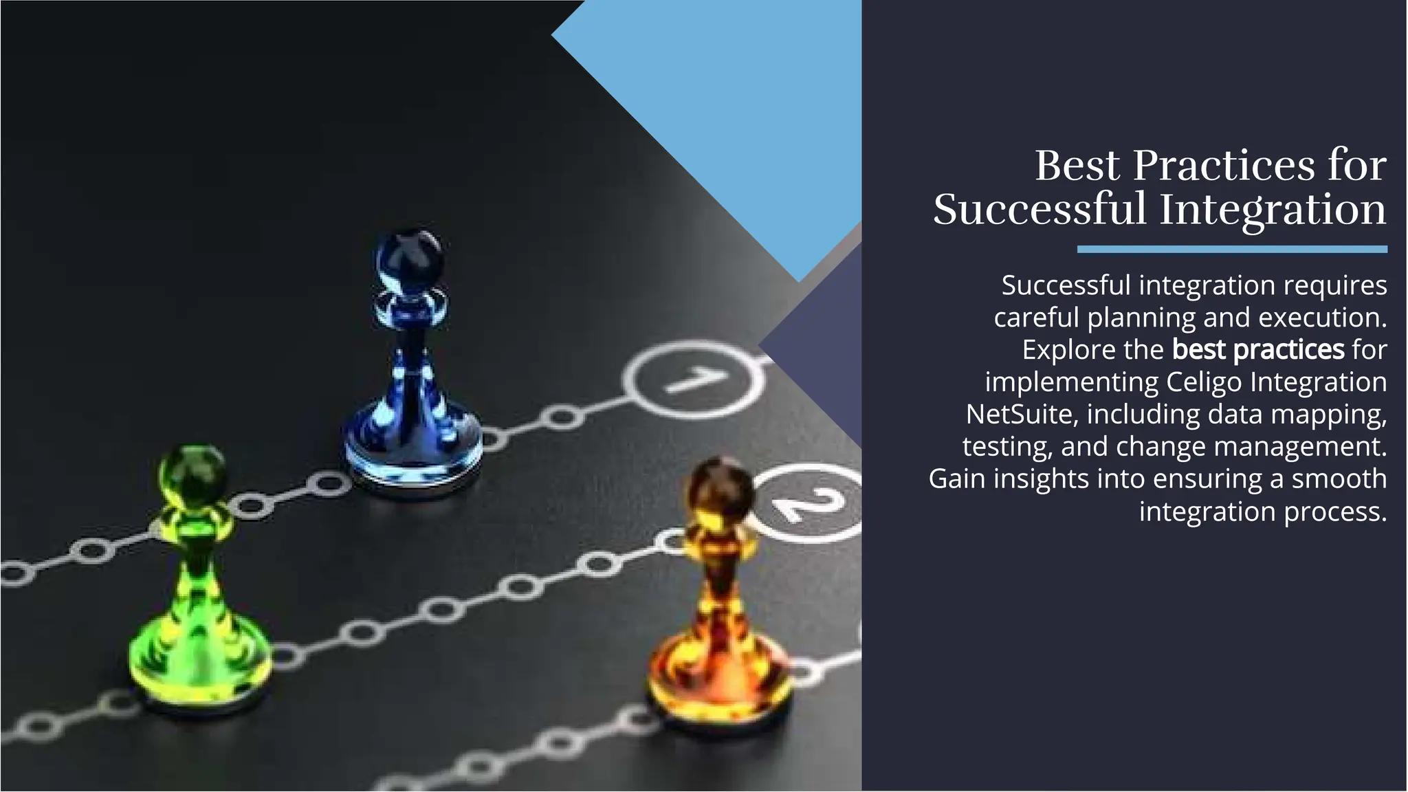 Celigo Integration NetSuite: A Comprehensive Guide | PDF