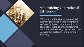 Celigo Integration NetSuite: A Comprehensive Guide | PDF