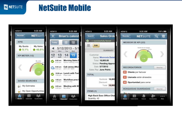 NetSuite CRM Slides March 2014 | PPT