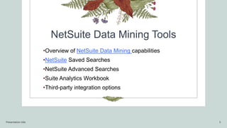 NetSuite Data Mining and Reporting | PPT