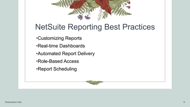 NetSuite Data Mining and Reporting | PPT