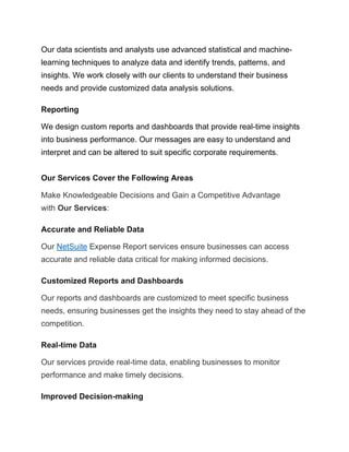NetSuite Data Mining and Reporting Service | PDF