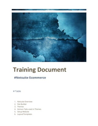 Netsuite e commerce training doc | PDF
