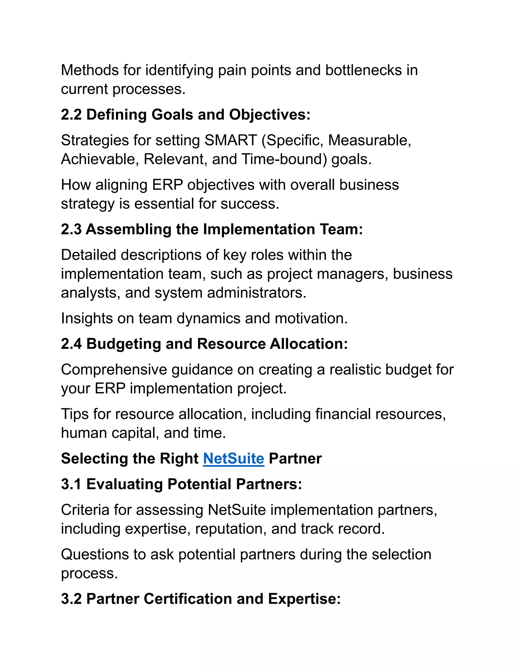 Netsuite ERP Implementation | PDF