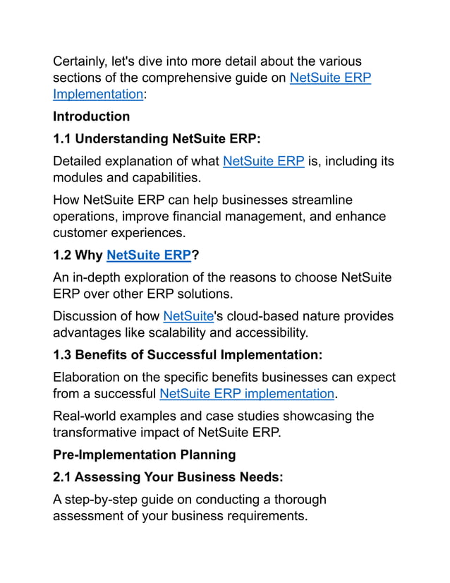 Netsuite ERP Implementation | PDF | Computing | Technology & Computing