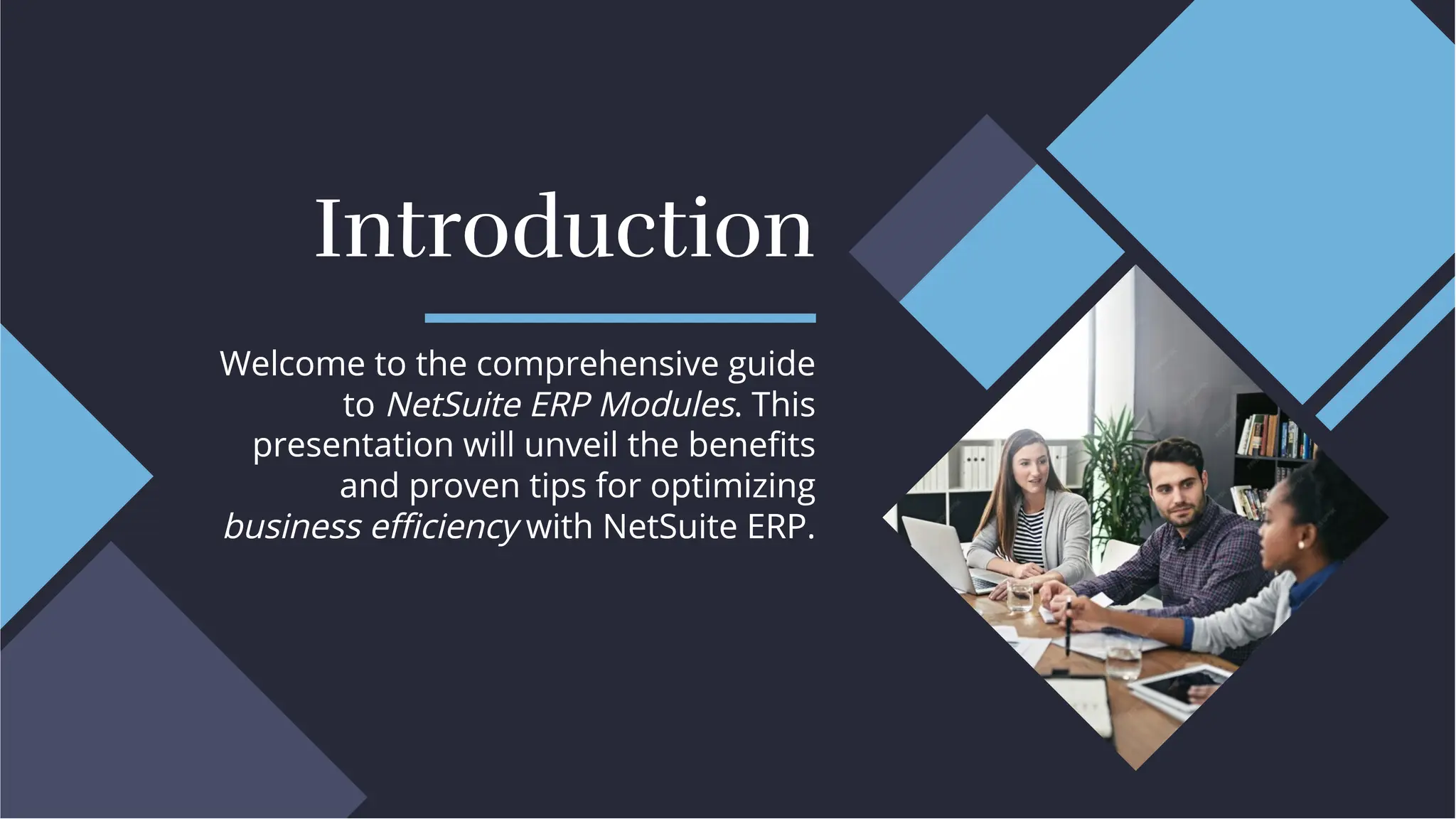 NetSuite ERP Modules | PDF