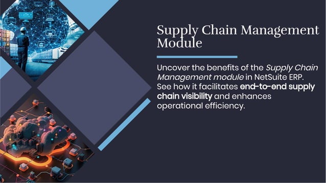 NetSuite ERP Modules | PDF