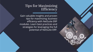 NetSuite ERP Modules | PDF