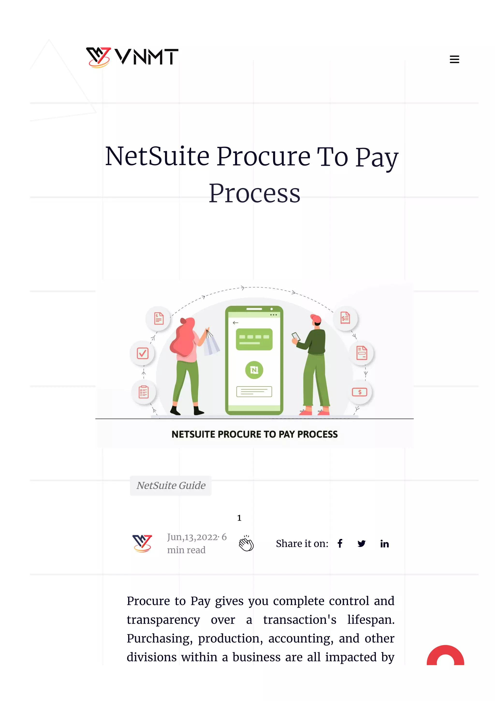 NetSuite Procure To Pay Process.pdf