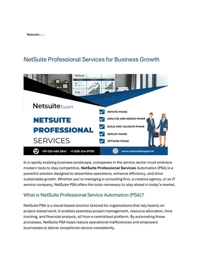NetSuite Professional Services for Business Growth | PDF