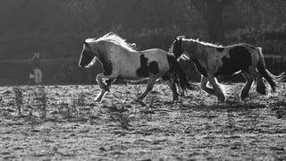 Functional Reactive Programming - What does it solve? Does it solve things? Let's find out! | PPT