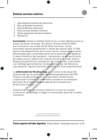 netter-flashcards-de-500193-downloadable-6698611 (1).pdf