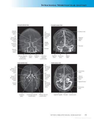 Netters Correlative Imaging Neuroanatomy_booksmedicos.org.pdf