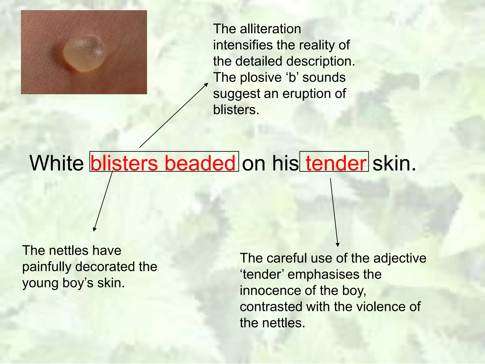 Analysis of 'Nettles' by Vernon Scannell | PPTX