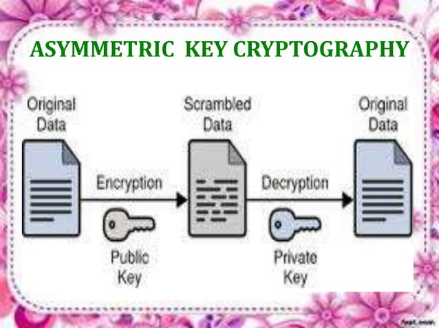 Network security and cryptography
