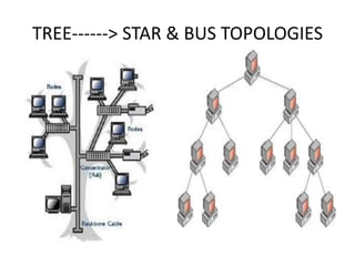 Network topology | PPT