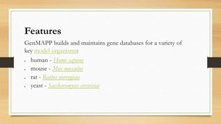 Network and pathway visualization tools | PPT