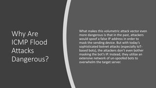 Network And Application Layer Attacks | PPT