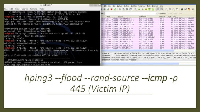 Network And Application Layer Attacks Ppt
