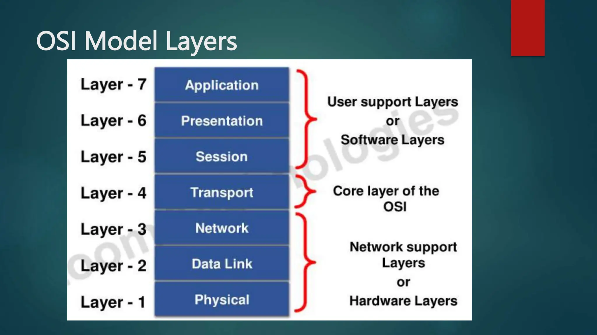 Ccna Computer Network Basics And Network Typespptx Computer Networking Computing