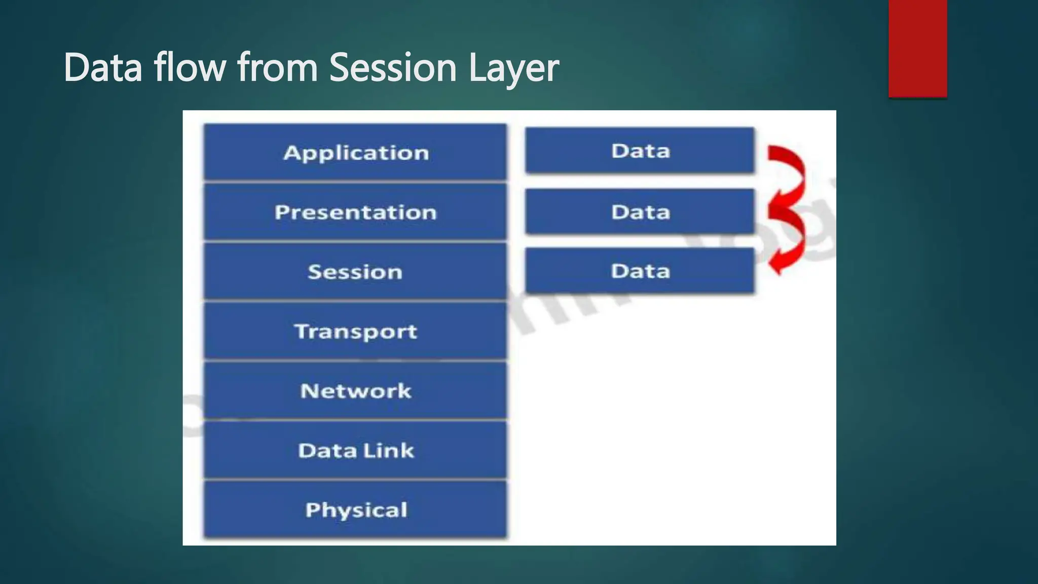 Ccna Computer Network Basics And Network Typespptx Computer Networking Computing