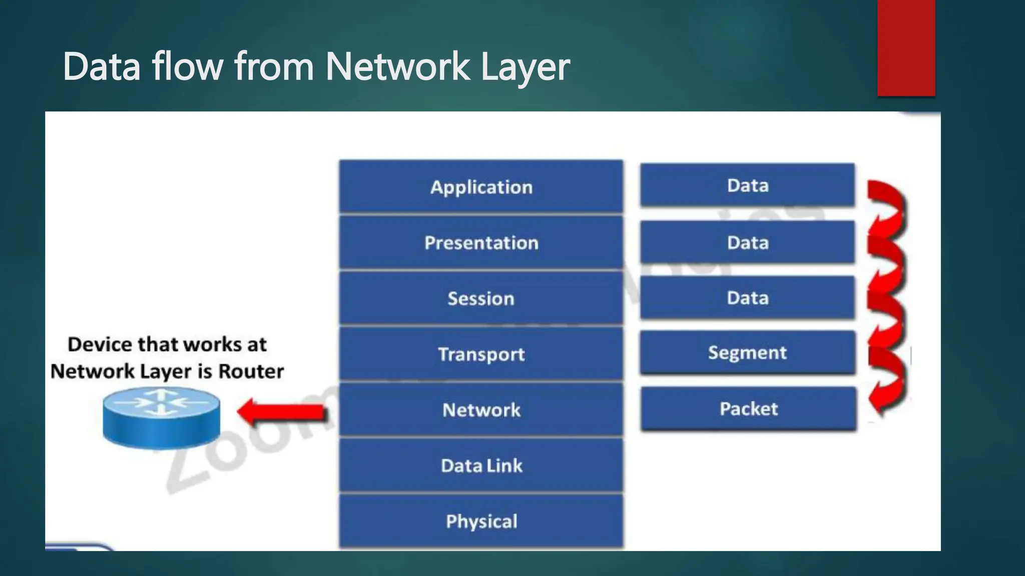 Ccna Computer Network Basics And Network Typespptx Computer Networking Computing